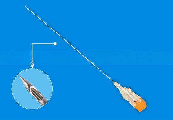 Disposable Anesthesia Spinal Needle with Quincke Tip The Basis of ...